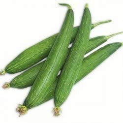 Zonato - Easy Planting - Ridge Gourd(Torai) Organic Vegetable Seeds + 1 ...