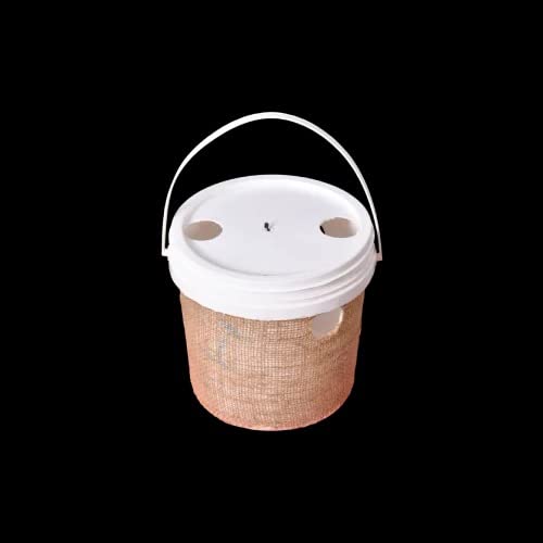 Farmroot Insect Bucket Traps for Red Palm Weevil with 1 Pheromone Lures ...