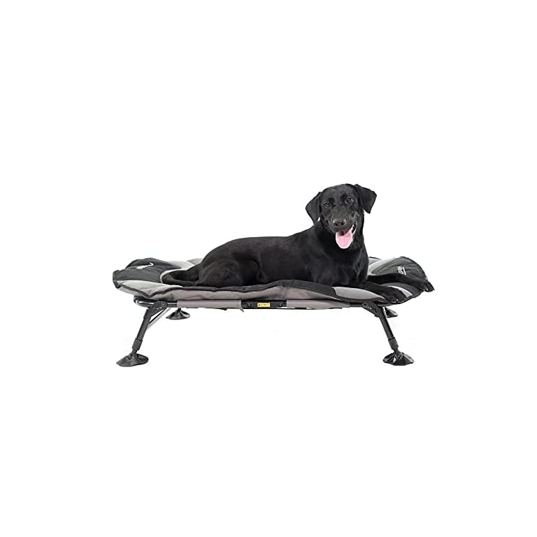 Momarsh Elevated Dog Cot: Ultimate Bed for Pets