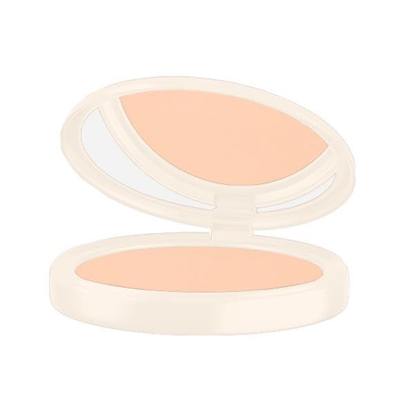 Amazon.com : FARMASI Makeup BB All in One Powder, Lightweight, Long ...