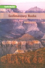 Amazon.com: Sedimentary Rocks: Leveled Reader (Rigby on Deck Reading ...