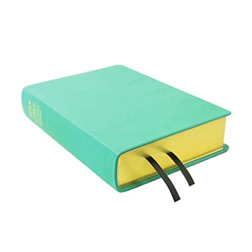 Amazon.com: LDS Scriptures Hand-Bound Light Turquoise Blue Genuine ...