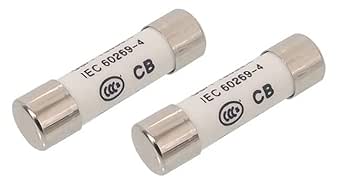 Ceramic Fuse 600V 10 x 38mm (10 Amp) : Amazon.ca: Tools & Home Improvement