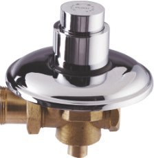 Cera CM 302 Flush Valve Concealed Push Type_F8010103 : Amazon.in: Home ...