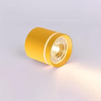 Harold Electricals 12 Watt Yellow Surface Mounted LED Light ...