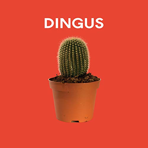 Play Dingus by Dingus on Amazon Music