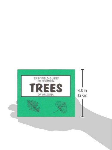 Snapklik.com : Easy Field Guide To Common Trees Of Arizona