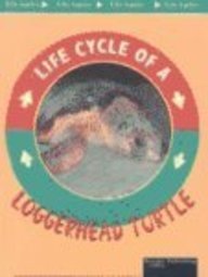 Loggerhead Turtle (Life Cycles) : Cooper, Jason: Amazon.de: Bücher
