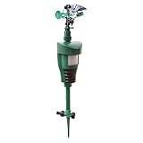 Top 10 Best Motion Activated Sprinklers in 2023 Reviews | Buyer's Guide