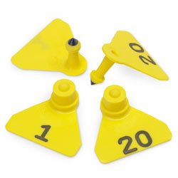 Amazon.com: Allflex Numbered (1-20) Sheep Mini Tags - Yellow - C31217(A ...
