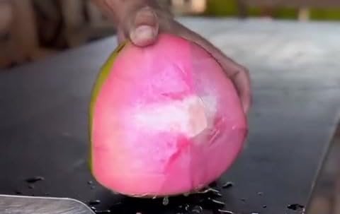 Thailand Pink Coconut - Fruit Plant & Tree : Amazon.in: Garden & Outdoors