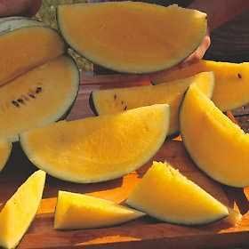 Amazon.com : SD0541 Sweet Watermelon Seeds, New Fresh Live Seed, Large ...