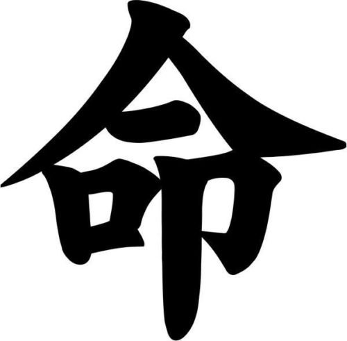 Life In Japanese Symbol