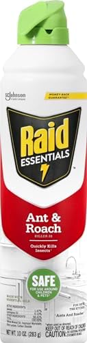 Amazon.com: Raid Essentials Ant, Spider & Roach Killer Aerosol Spray ...