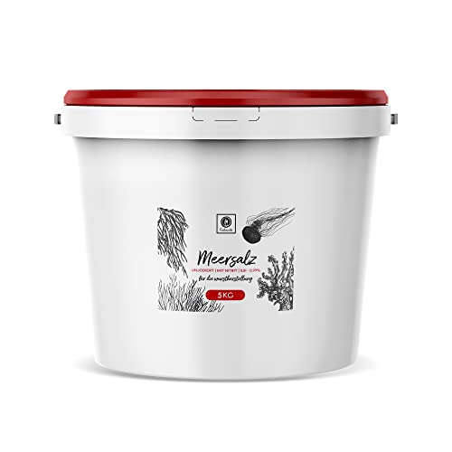 Todo lo que debes saber sobre la sal nitro y la sal de cura para ...