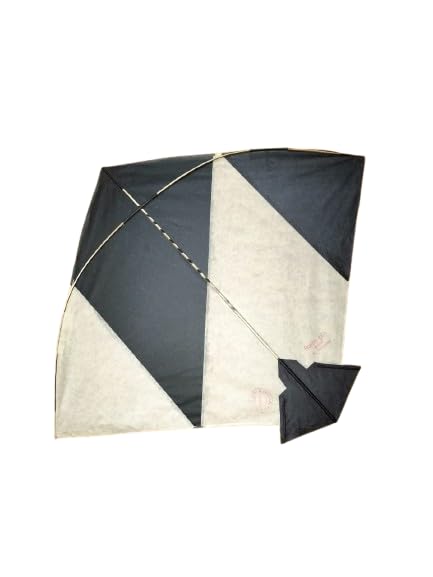 Zen IMPEX Paper Kite Cheel Kites |ADDHI | Paper Kite | Kites for Flying ...