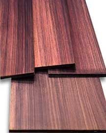 Creative Farmer Tree Seeds : Indian Rosewood (Beete, Veeti, Eeti ...