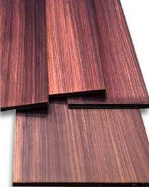 Creative Farmer Tree Seeds : Indian Rosewood (Beete, Veeti, Eeti ...