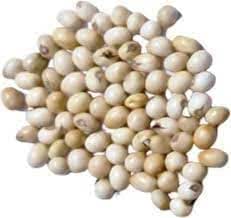 White GUNJA/CHIRMI Seeds/Set of 5 / RATTI/Gamanchi/for Diwali POOJAN ...
