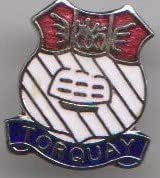 1000 Flags Torquay Town Devon Crest Pin Badge - 0312 : Amazon.co.uk ...