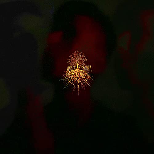 Amazon MusicでEdikのViata E Importantaを再生する