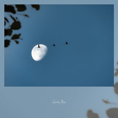 Amazon MusicでGently BlueのBlue Moonを再生する