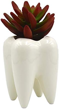 Amazon.com: MONMOB Ceramic Tooth Shaped Pen Pencil Toothbrush Holder ...