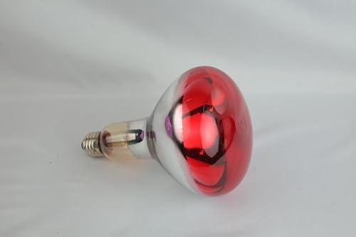 Infrared IR Bulb 150W / 230V Red (Pack Of 1) : Amazon.in: Health ...