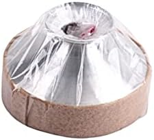 Amazon.com: Mikinona Accessories for Saxophone Accessories Clarinet ...