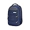 Buy Safari Omega spacious/large laptop backpack with Raincover, college ...