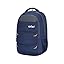 Buy Safari Omega spacious/large laptop backpack with Raincover, college ...