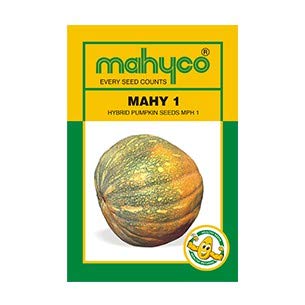Mahyco - Mahy 1 Hybrid Pumpkin Seeds, kaddu Ke Beej, Kolu Ke Beej, Lal ...