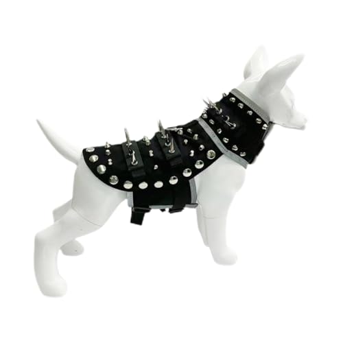 Spike Vest for Dogs – The 15 best products compared - Wild Explained