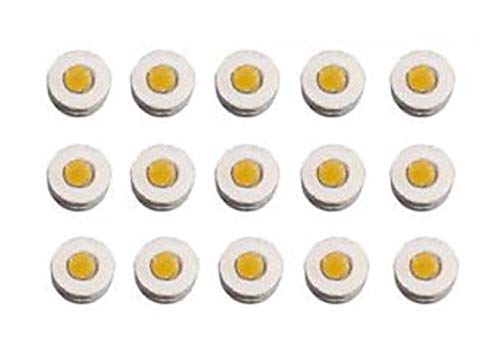 Buy Chakra Magnet-Big Super (Set of 10) Online at Low Prices in India ...