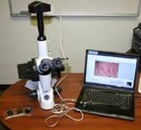 Amazon.com: Unitron Inverted Metallurgical Microscope : Electronics