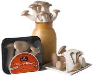 Amazon.com: Mycopia TR6LB Trumpet Royale Mushrooms Bulk 6 lb. Case ...