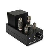 10 Best Tube Amps 2024 | Big Spring Sale Deals 2024 | BestReviews.Guide