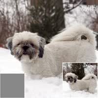 Kodak 100mm Square Wratten 2.0 Optical Filter No.96 with ND 0.50: Buy ...