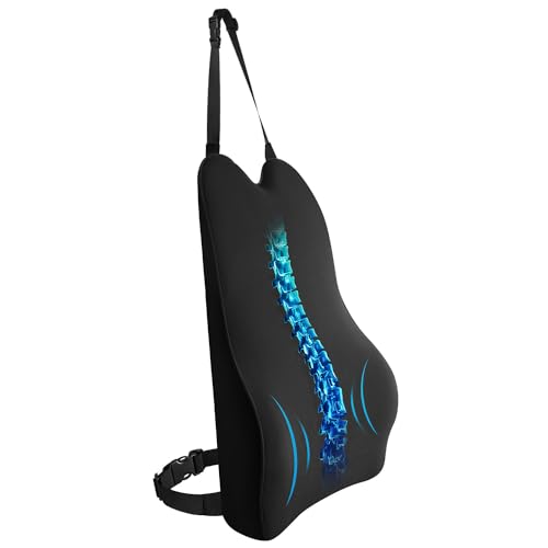 6 Best Lumbar Support for Car Seats [for Lower Back Pains]