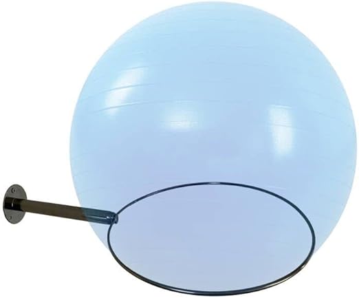 Amazon.com: Exercise Ball Storage Rack, Wall Mounted Stainless Steel ...