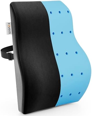 FOVERA Lumbar Support for Car, Back Rest Support Memory Foam Cushion ...