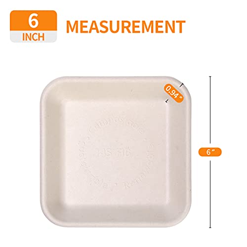 Snapklik.com : Celel 100 Pack 6 Inch Small Square Paper Plates