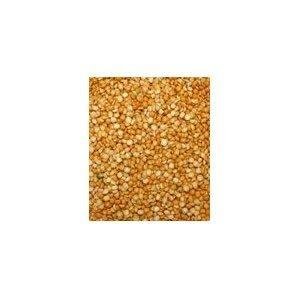 Amazon.com : Bulk Peas, Split, Yellow OG1 1 lb. (Pack of 25) : Dried ...