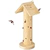 Amazon.com: Navaris Wooden Ladybug Habitat - Hanging Real Pinewood ...