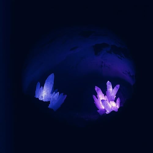 What's This Mean von Demonic Prophet bei Amazon Music - Amazon.de