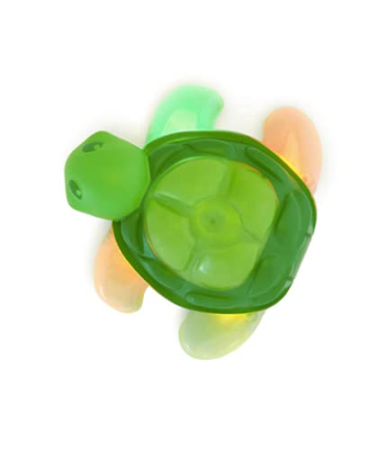 Amazon.com: Fun Original Brushing Teeth Timer, Light-Up 2 Minute Timer ...