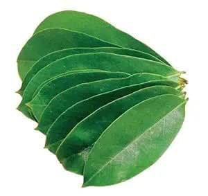 PSS for Cancer soursop Graviola Green Leaves from Matured and Organic ...