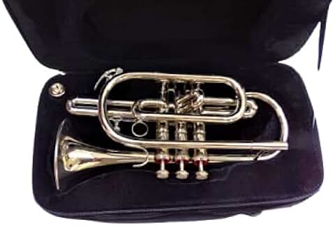 Amazon.com: Cornets - Cornets / Brass Instruments: Musical Instruments
