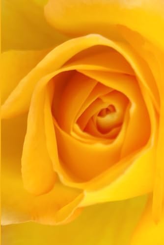 ROSE&PAPER Garden Layout Planner — Graph-Grid Notebook for Raised Beds ...
