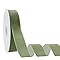 Amazon.com: DINDOSAL Sage Green Velvet Ribbon 1 Inch Single Face Velvet ...